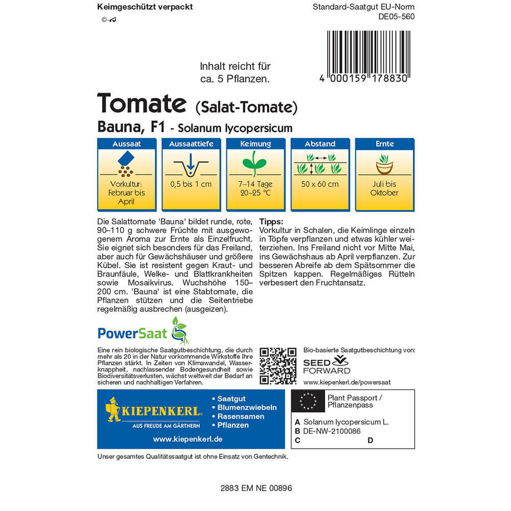 Kiepenkerl Samen Salat-Tomate Bauna (F1) Power Saat kaufen | Ahrens ...