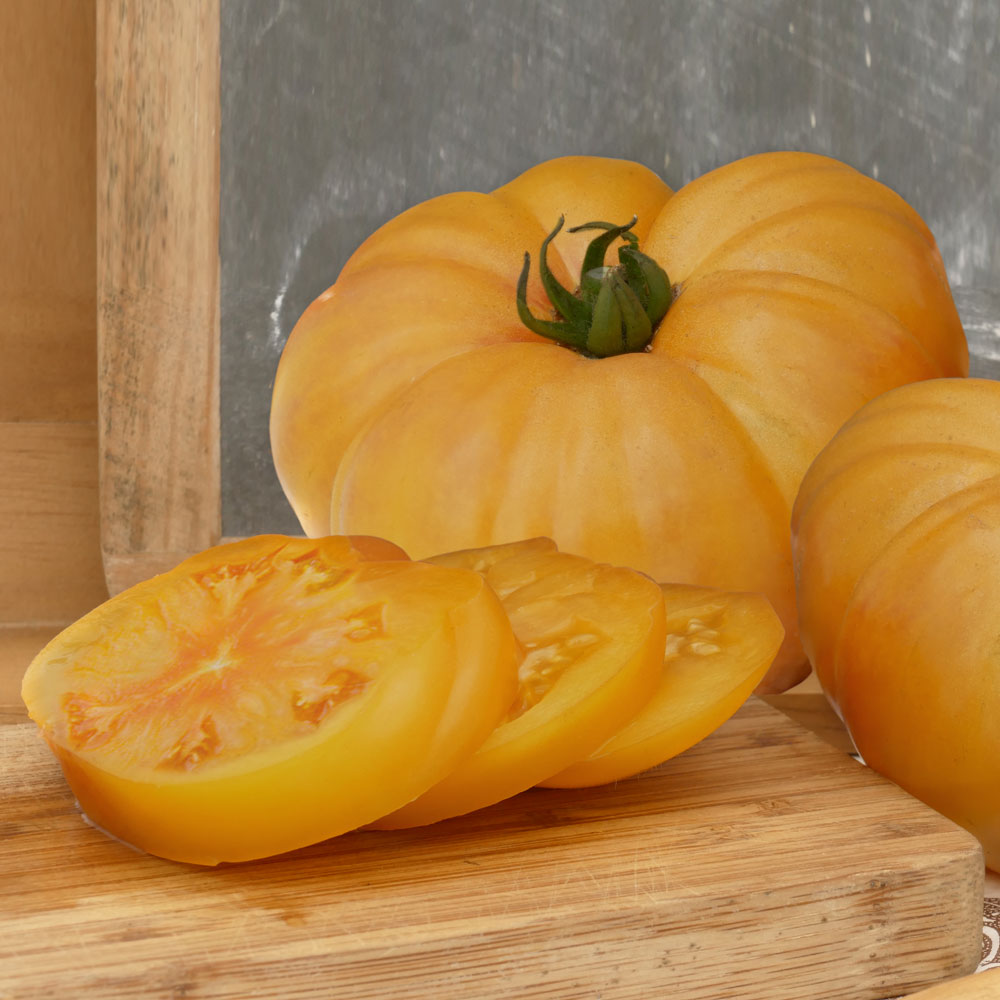 Golden Ananas-Tomate | Tomaten | Gemüsepflanzen | Gemüse | Ahrens ...